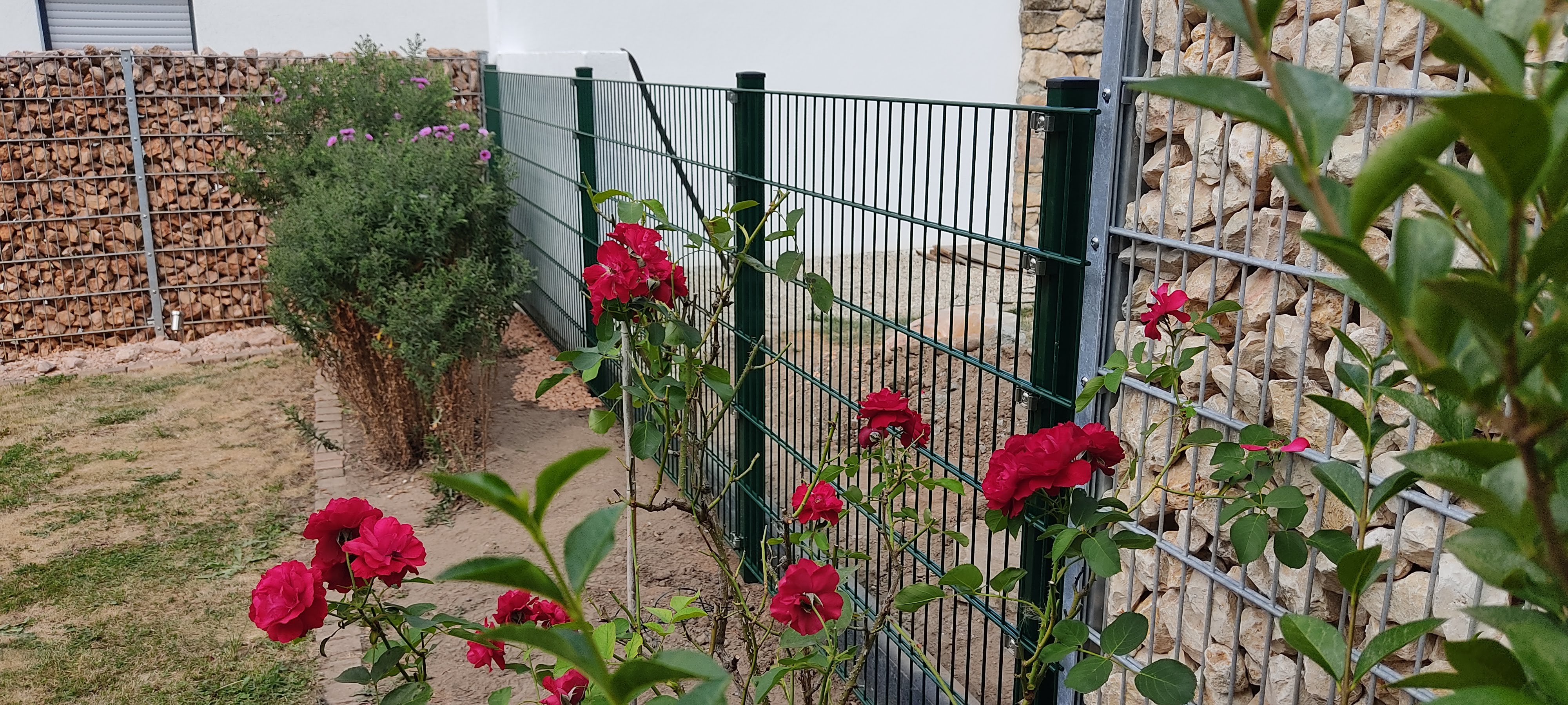 Draht Walput - Ihr Zaunbauer im Südwesten - Doppelstabgitter